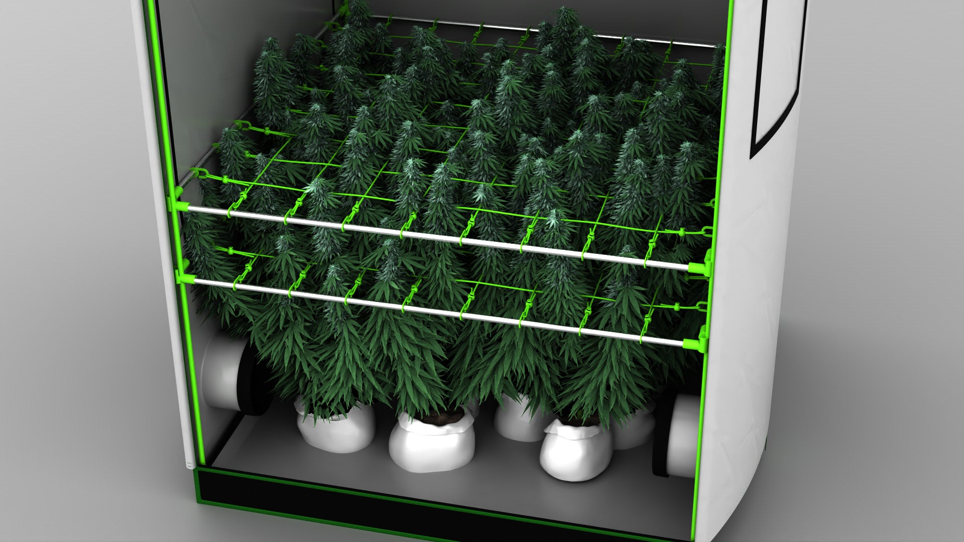 Scrog Grow Netze | Indoor Growboxen und Grow Zubehör – Growber